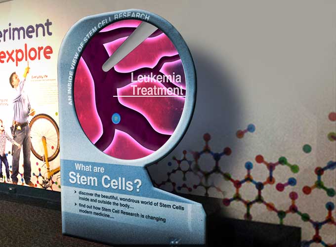 Science of Stem Cells Display - illuminart stories in light