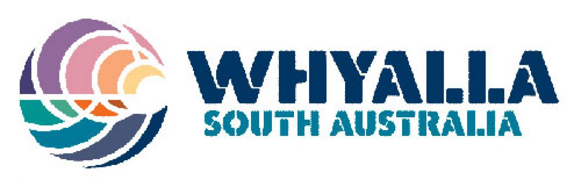 Weirdness is wonderful: Whyalla pop-up projection - illuminart stories ...