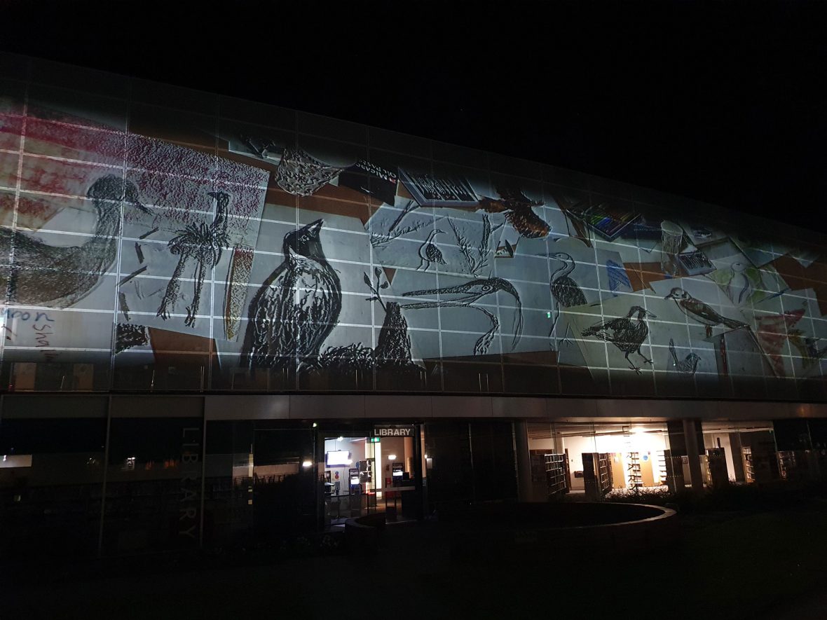 The Sanctuary: A Feathered Adventure in Light at Wagga Wagga NSW ...